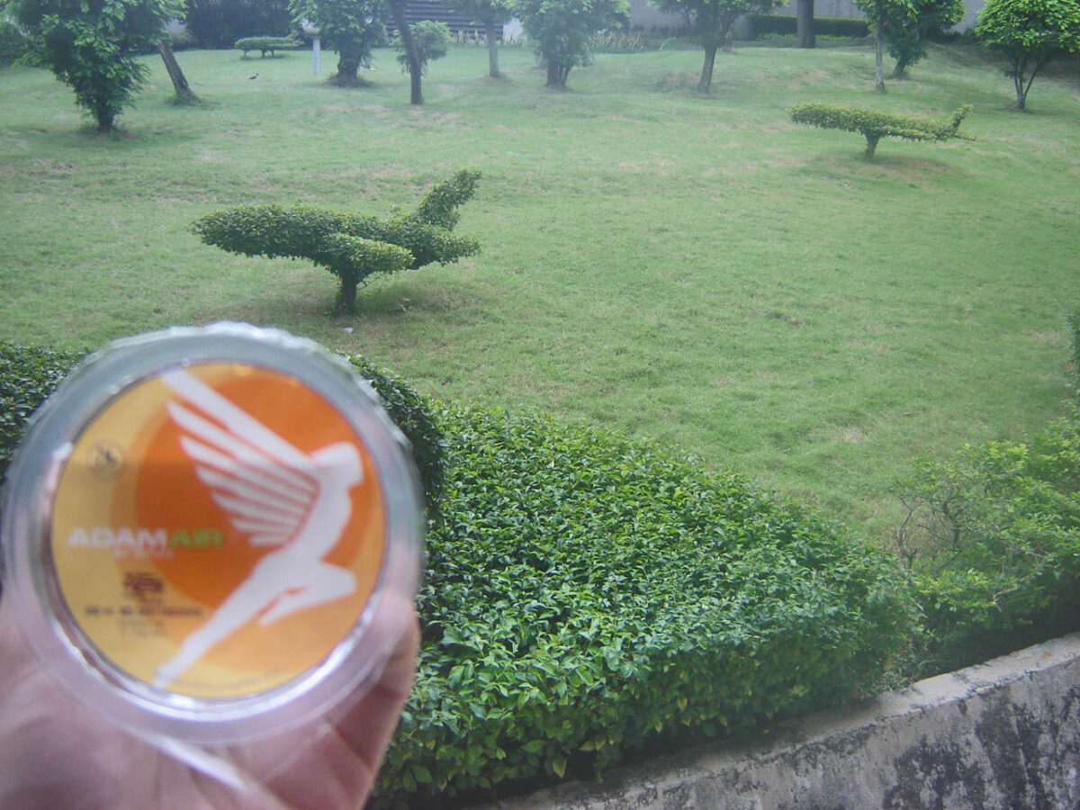 Never Flying Again - No Work All Travel